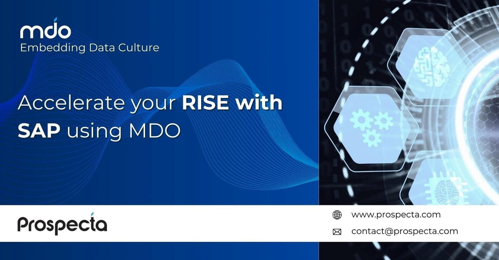 Rise with SAP